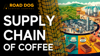 From Bean to Brew: Navigating the Coffee Supply Chain - Road Dog Coffee ...