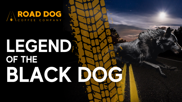 Unveiling the Black Dog Trucking Legend: A Trucker's Tale - Road Dog ...